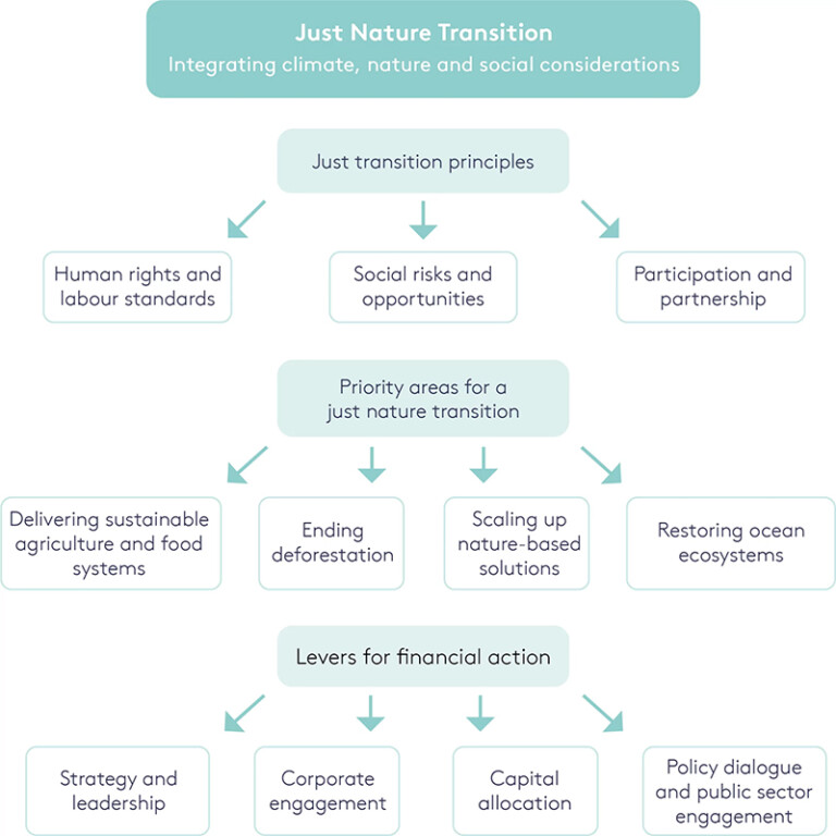 Just Nature: How finance can support a just transition at the interface ...
